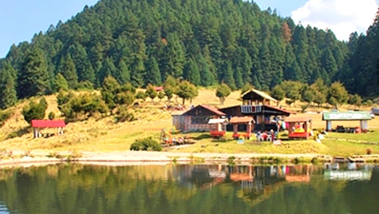 Curiosidades del Parque La Marquesa - So Close